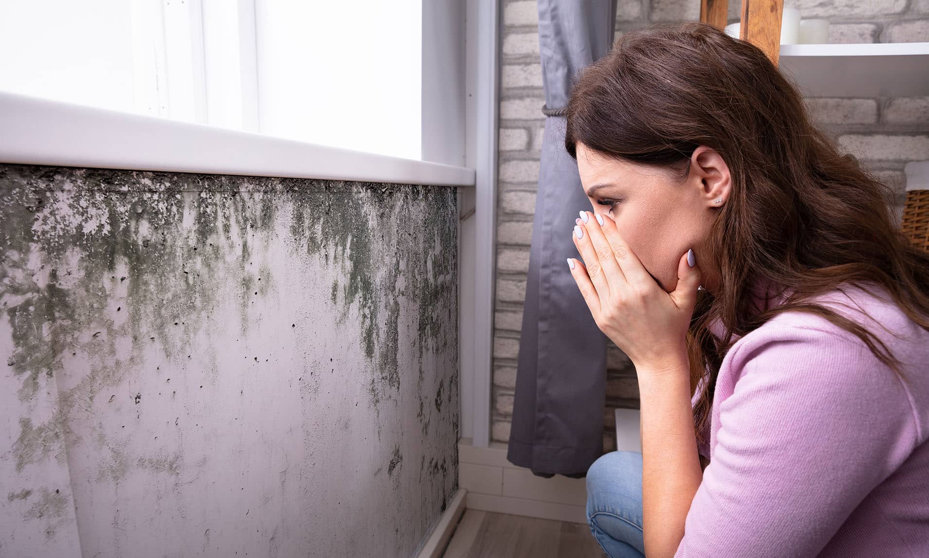 Spotting the Signs of Mold Infestation: A Comprehensive Guide - Trident ...
