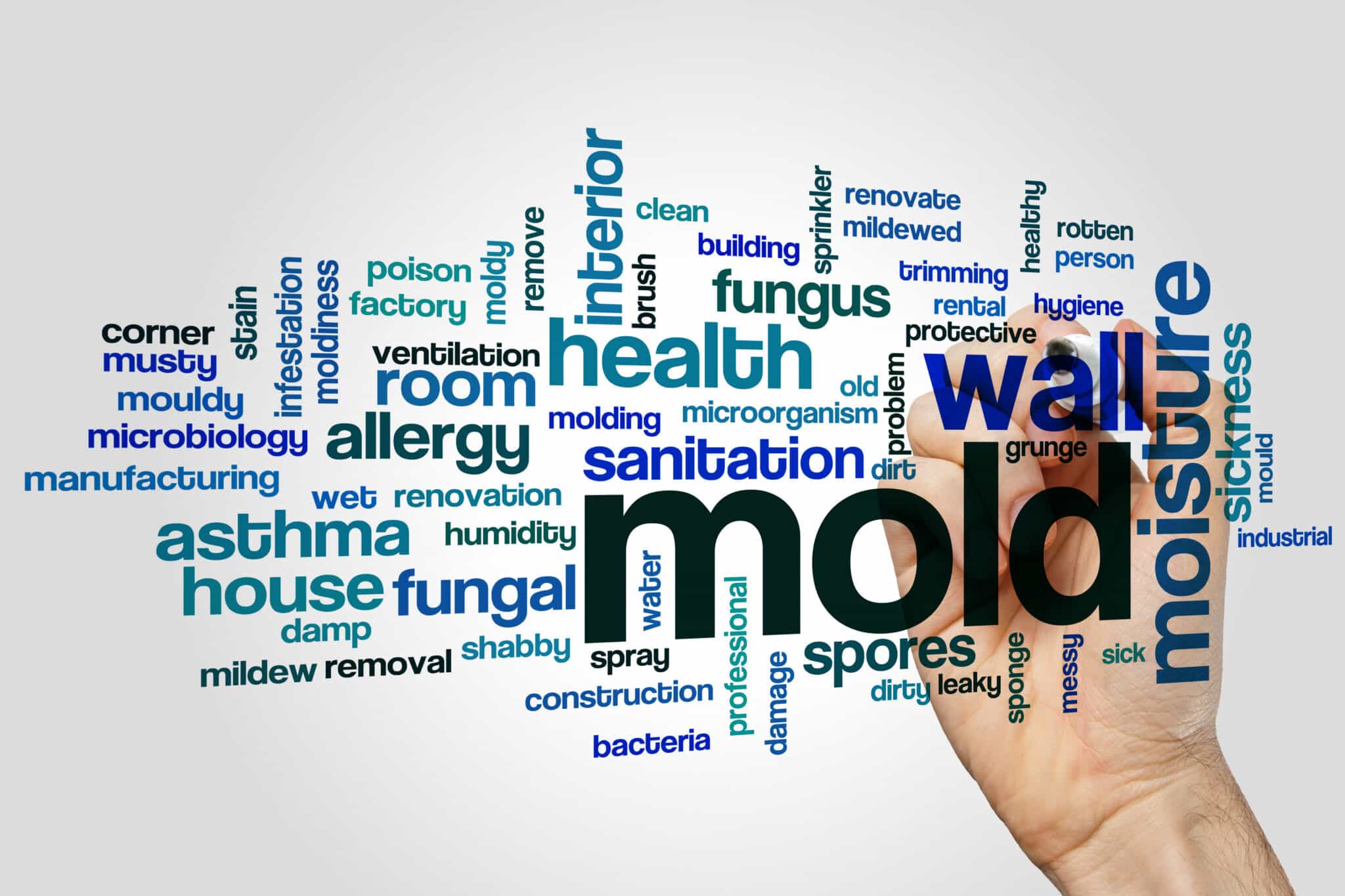 Spotting the Signs of Mold Infestation: A Comprehensive Guide - Trident ...